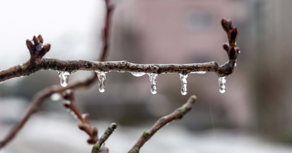 Nebel & Eis-Regen: Wetterumschwung zum Wochenende